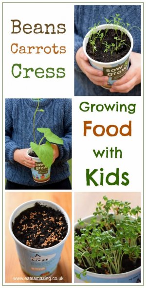 Growing Food with Kids: Carrots, Cress & Beans - Eats Amazing.