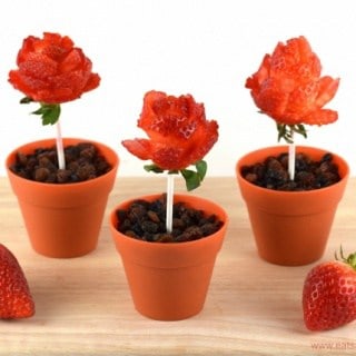 Flower Themed Food for Kids - Eats Amazing