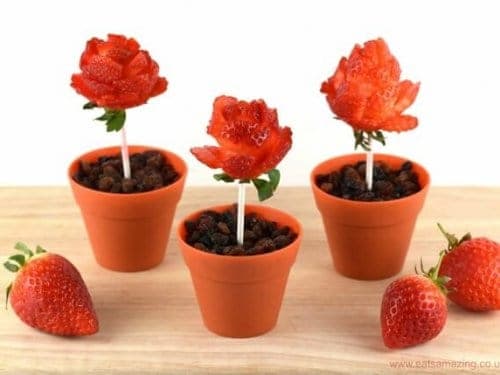 How To Make Strawberry Roses